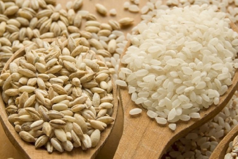 Orzo perlato al posto del riso, più ricco di vitamine e sali minerali ...