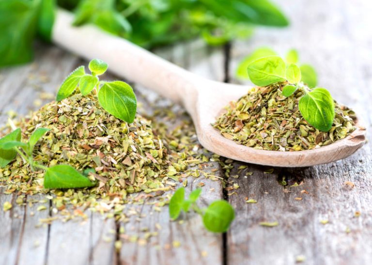 Origano, pianta aromatica dalle ottime proprietà benefiche ...