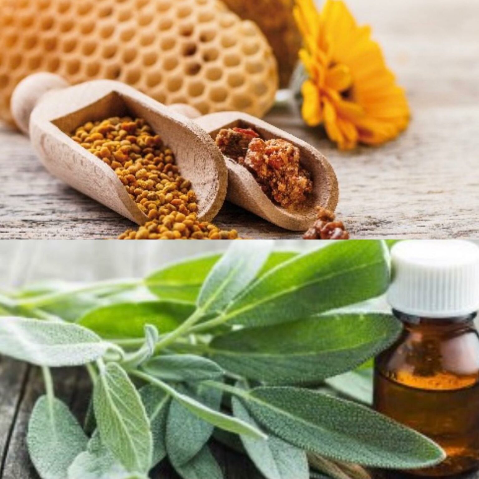 Come curare la candida grazie a questi rimedi naturali - Benessere ...
