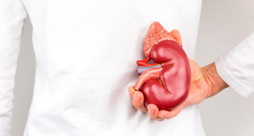 Morbo di Addison: di cosa si tratta? Ecco quali sono le cause e i ...