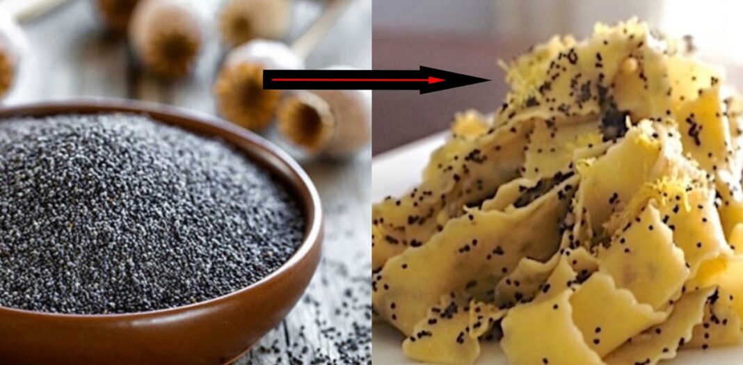 Semi di papavero: proprietà, benefici e come utilizzarli - Benessere ...