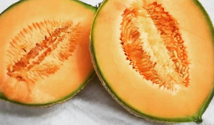 Melone giallo: il frutto amico del benessere - Benessere, Alimentazione ...